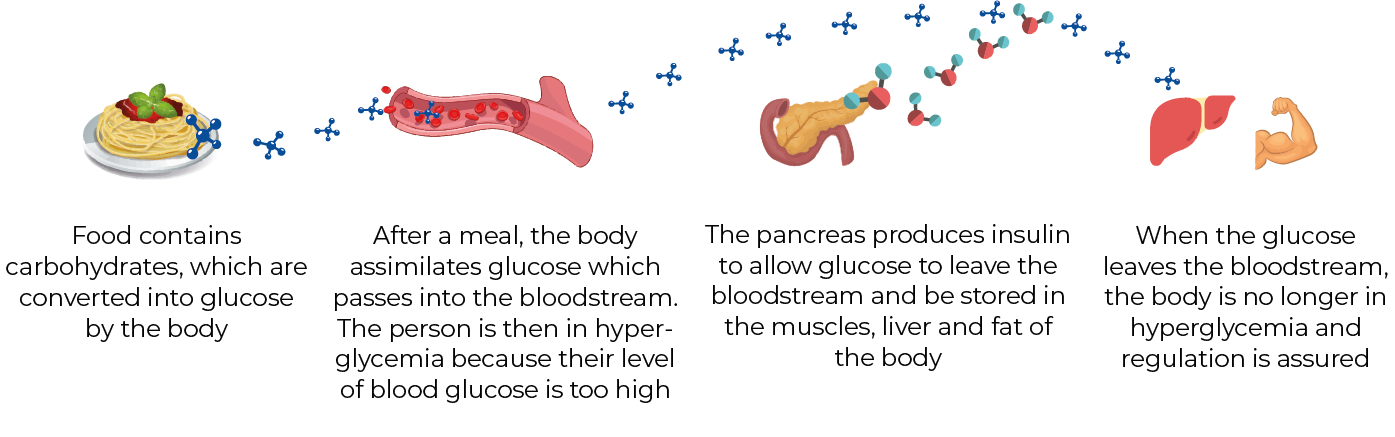 Diabetes #1 : what is diabetes ? - Biogaran Africa