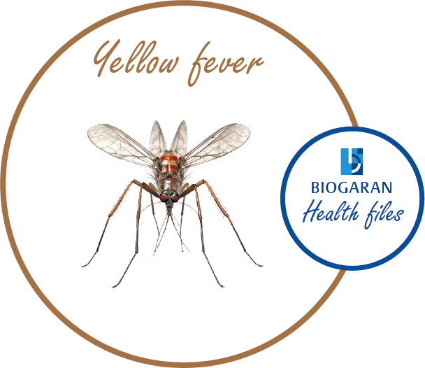 Understanding Yellow fever in Africa - Biogaran Africa
